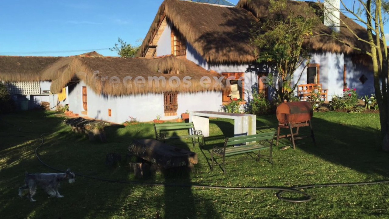 Juan Fernando Roldán - YouTube