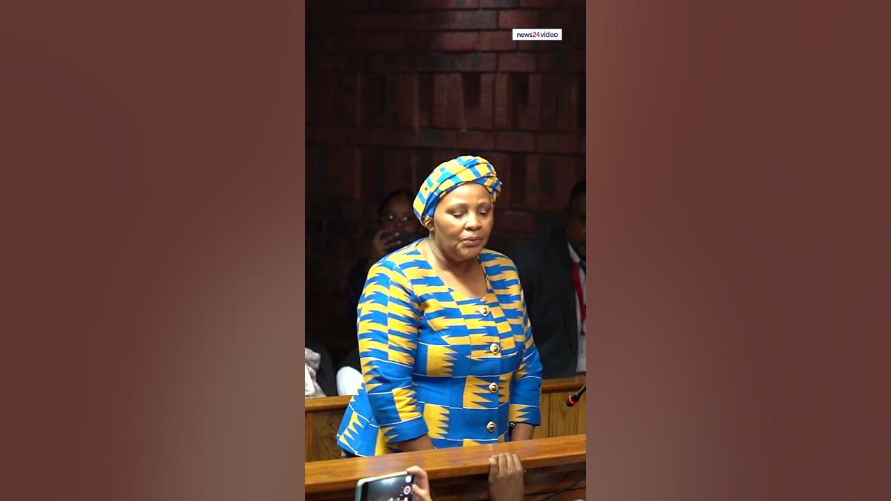 Mapisa-Nqakula granted R50 000 bail - as State says it will add another ...