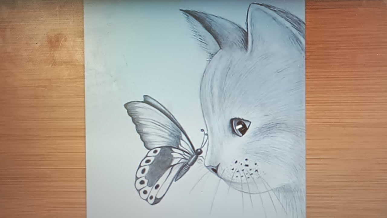beautiful cat drawing || pencil drawing with cute cat || cat with ...