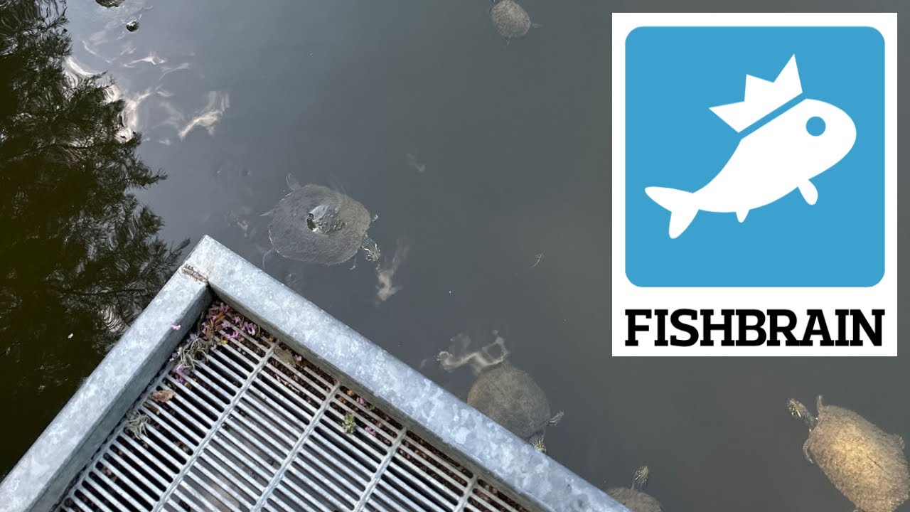 How To Find New Fishing Spots Using Fishbrain - YouTube