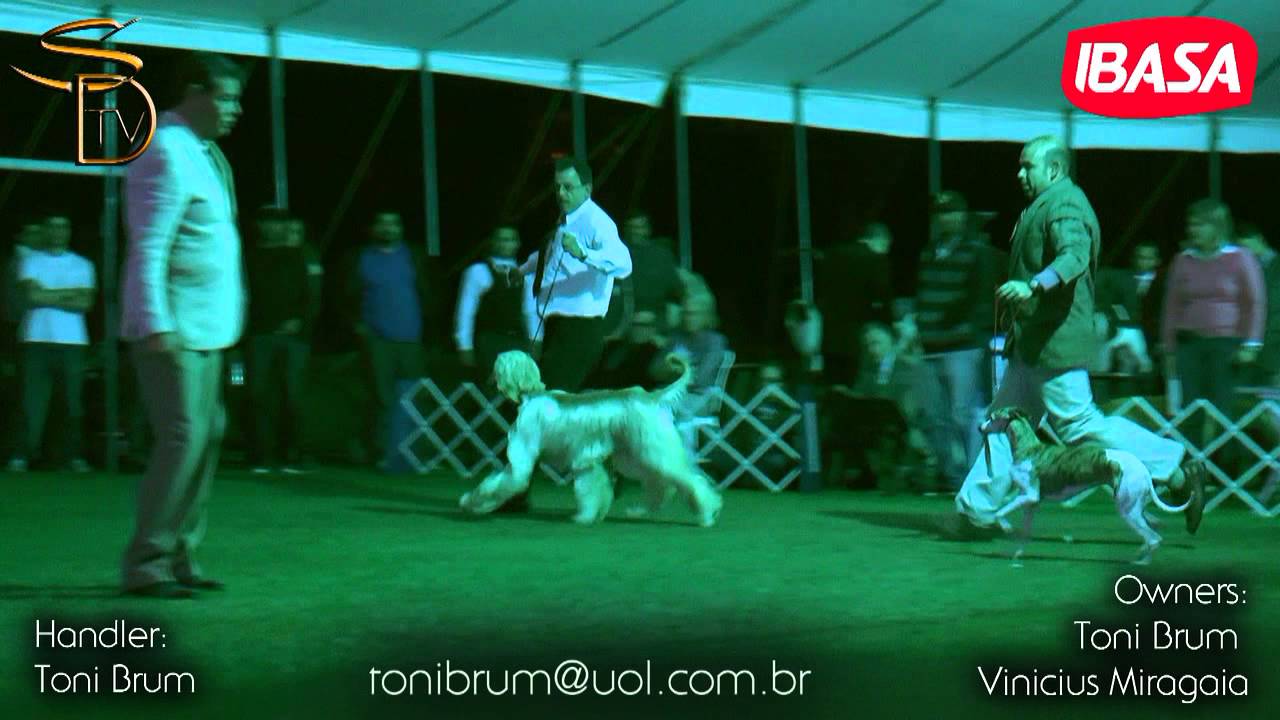 Eva Brum Abdalla´s #1 Grupo FECERJ Julho 2014 - YouTube