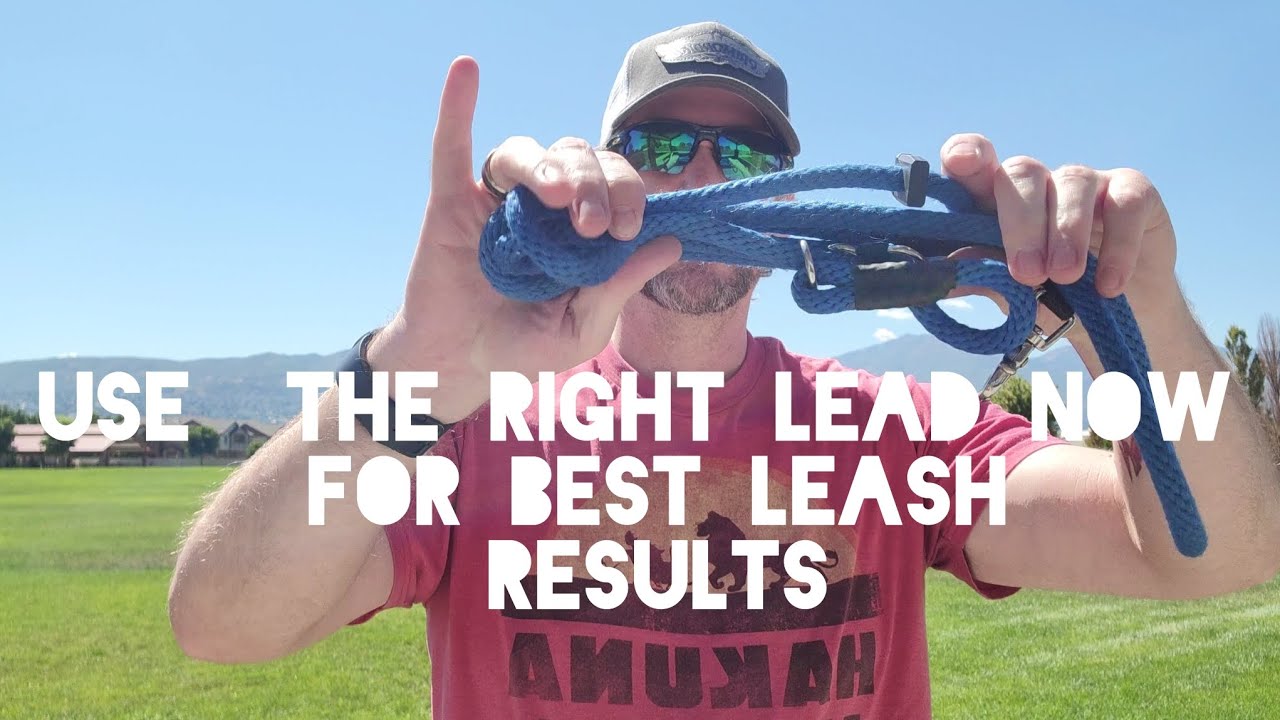 USE the right lead(s) now for positive results - YouTube