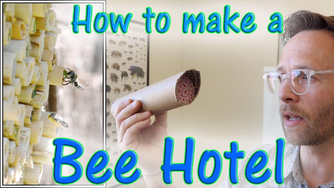How to make a bee hotel - YouTube