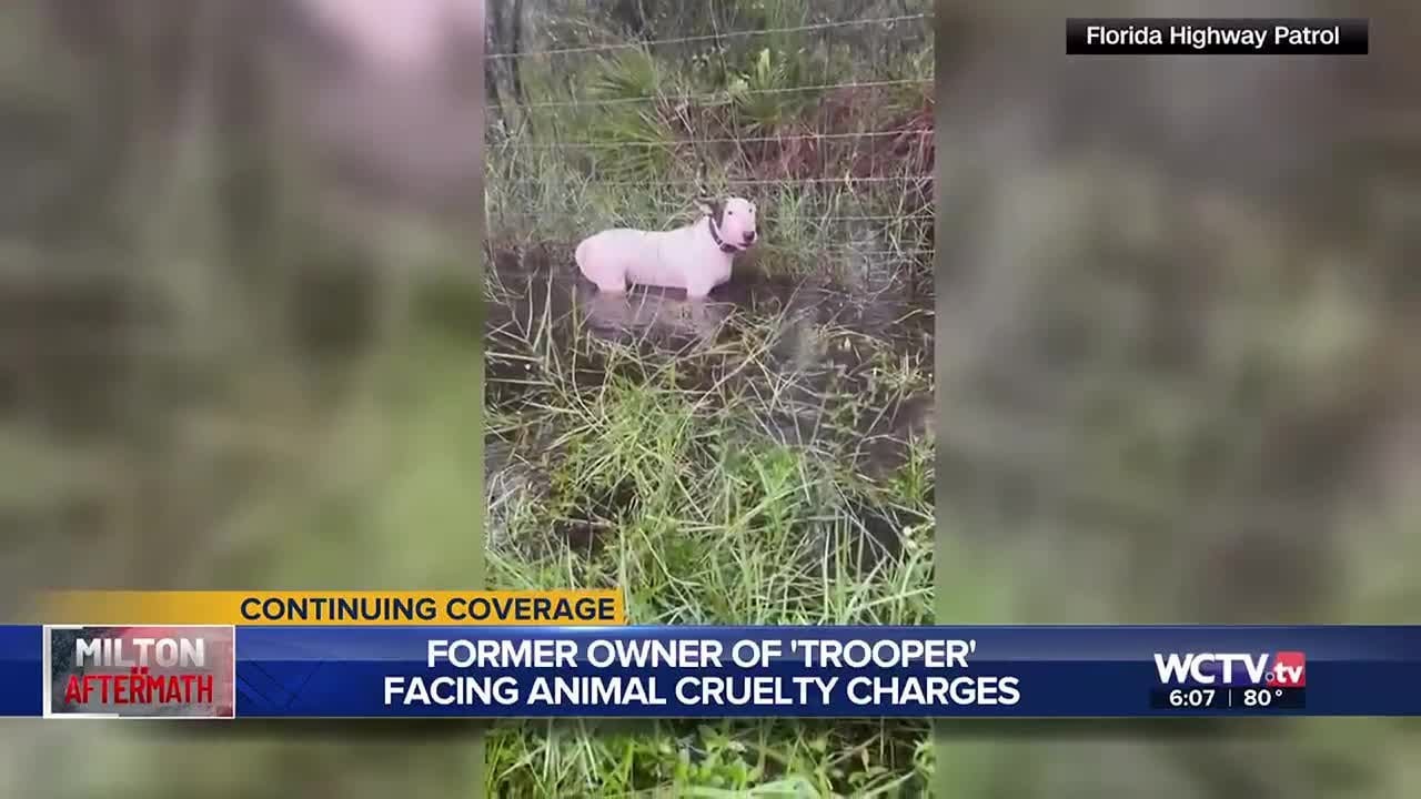 Former owner of ‘Trooper,’ dog rescued amid Hurricane Milton, facing ...