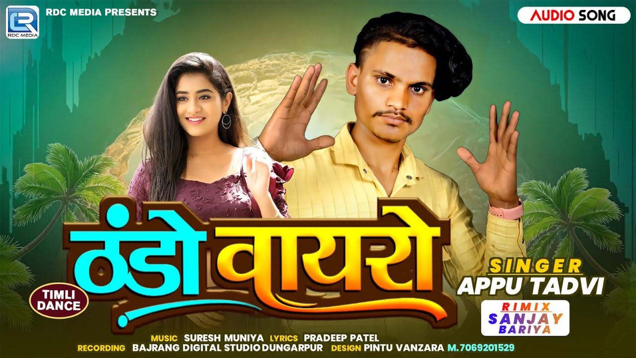 Thando Vayro | ठंडो वायरो | Appu Tadvi New Timli 2024 | New Timli Song ...