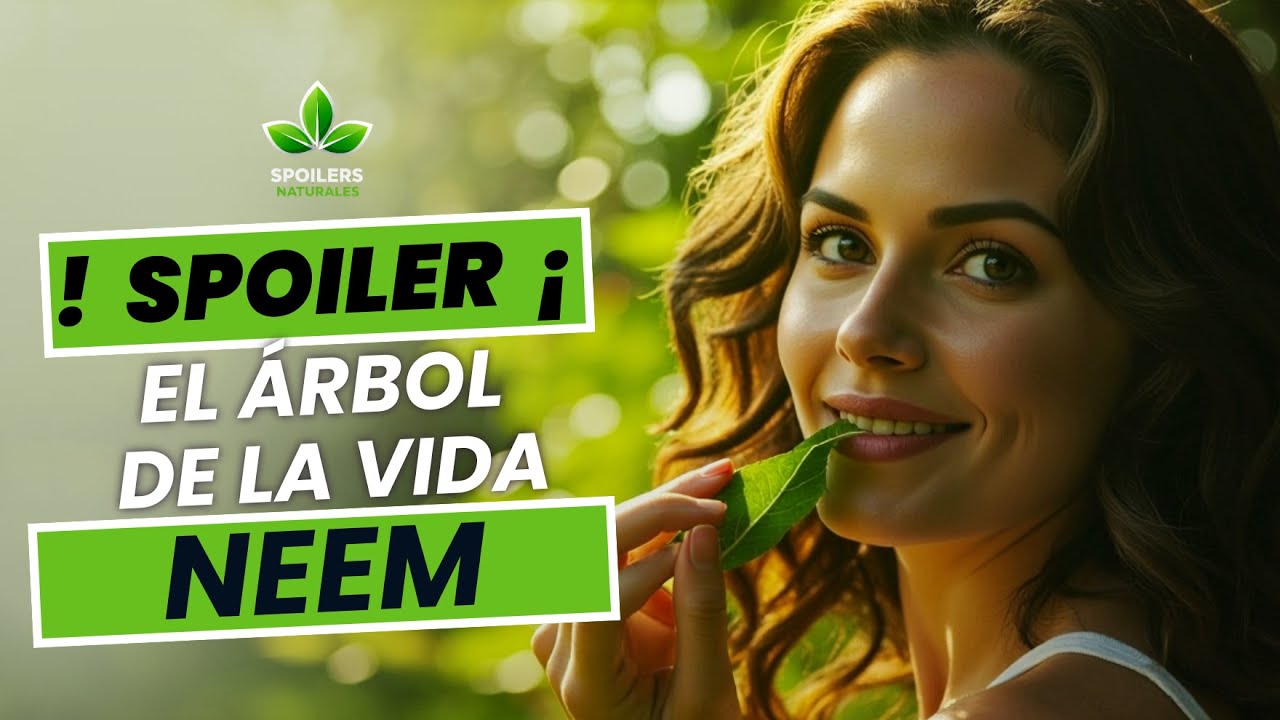 ¡NEEM: El Árbol Milagroso! 10 Beneficios Naturales que Deberías Estar ...