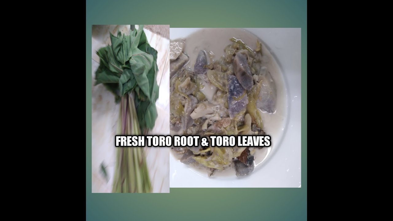 how to cook ginatang gabi bicol - YouTube