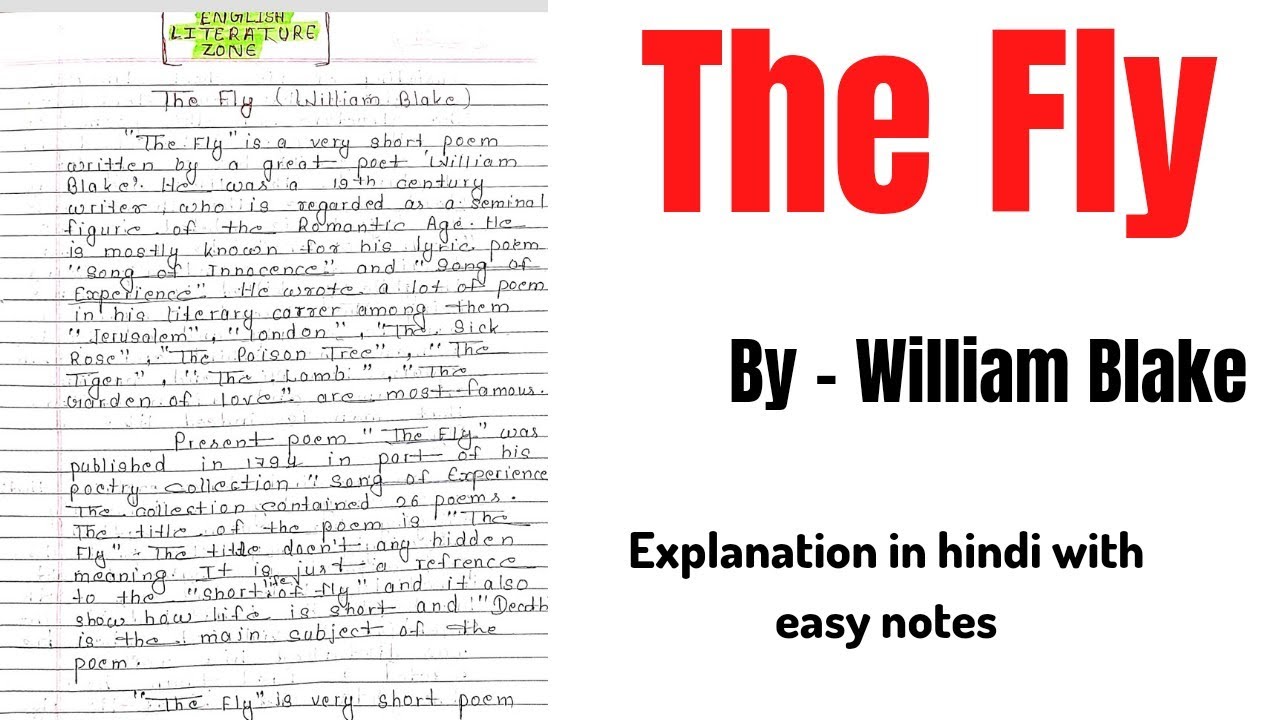 The Fly By William Blake | The Fly by William Blake Summary | The Fly ...
