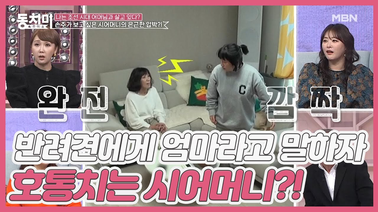 반려견에게 엄마라고 말하자 호통치는 시어머니?! ＂엄마를 엄마라고 부르지도 못하고...＂ MBN 211127 방송 - YouTube