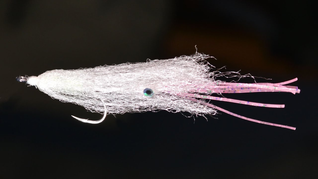 The SKUID: squid and cuttlefish populate every saltwater, from the ...