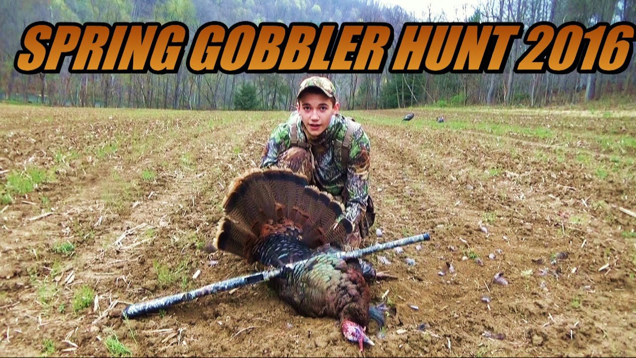 Double Bearded Spring Gobbler Hunt 2016 - YouTube