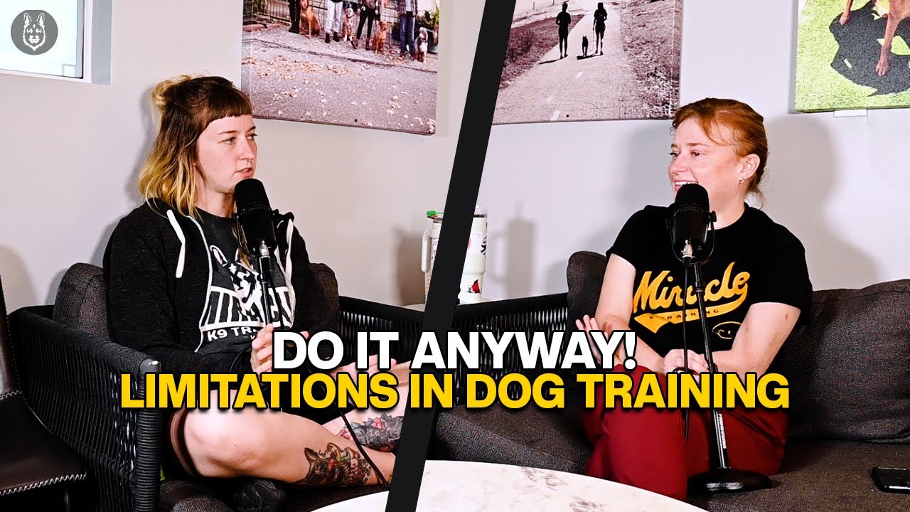 MK9 Podcast 90 - When and Where It Is Appropriate To Make Your Dog ...