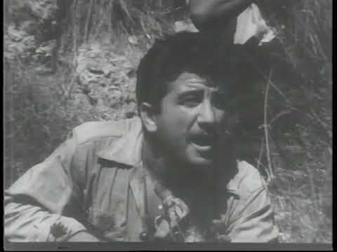 Kıbrıs Şehitleri 1959 3 (Final)