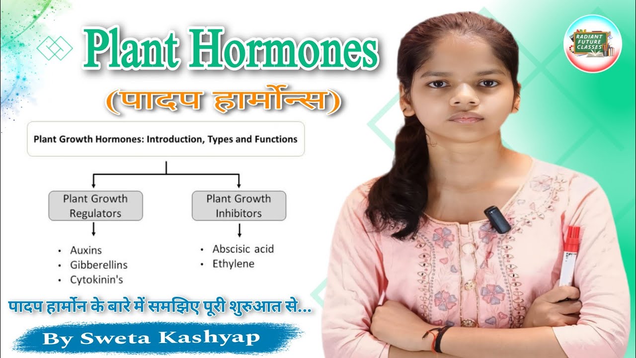 Plant Hormones | पादप हार्मोन | Plant Hormones and it's types | Class ...