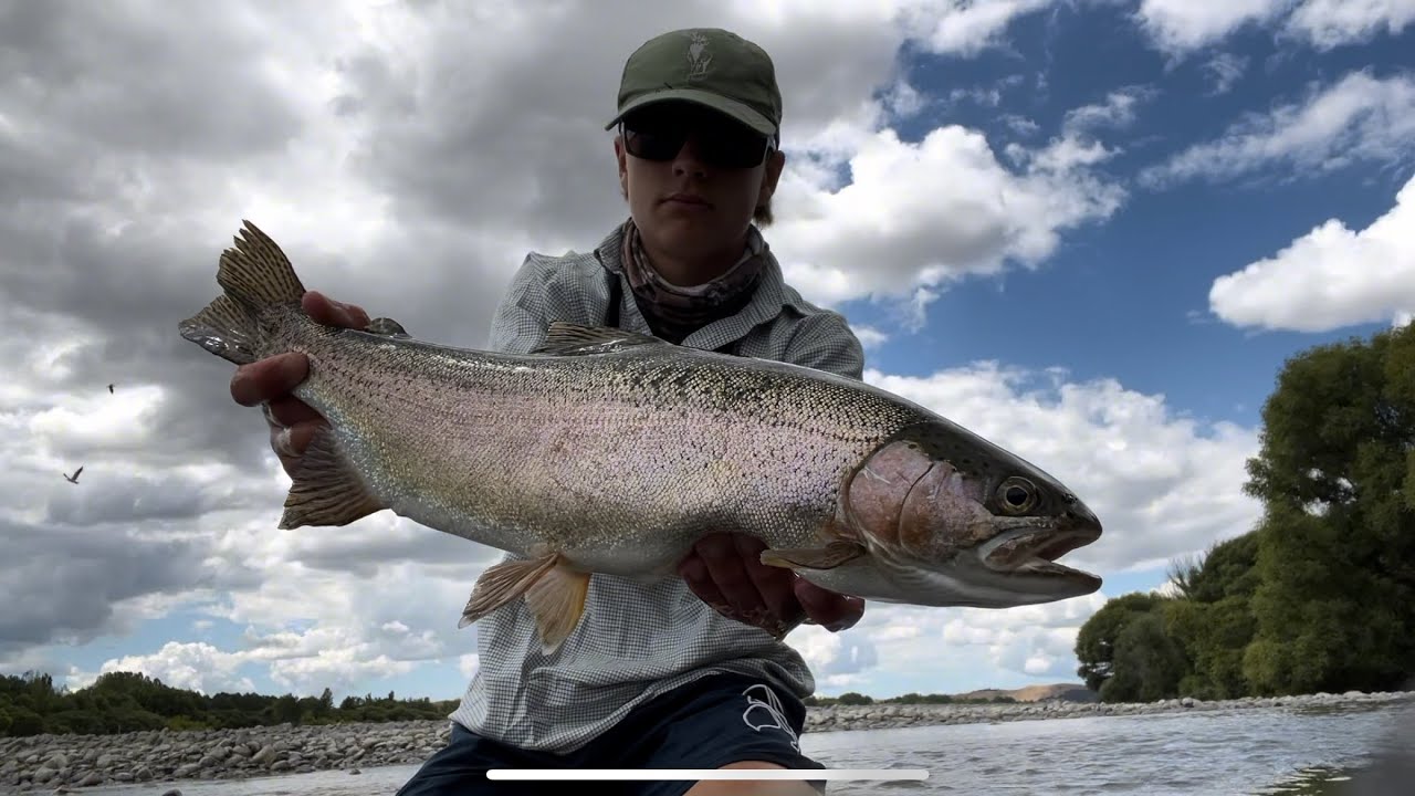 Productive Day Out on the River, Fly Fishing for Fat Hawkes Bay Trout ...