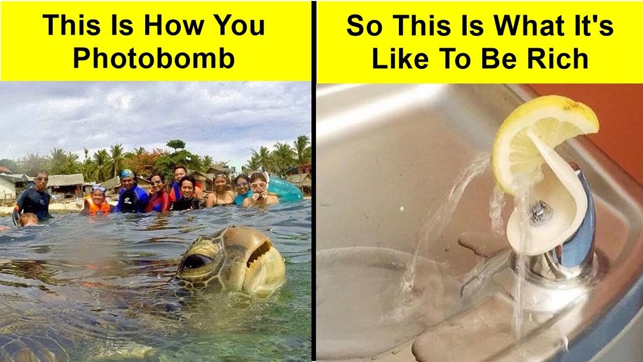 Hilarious Memes Ever That Will Make You Smile From Ear To Ear (Part 3 ...