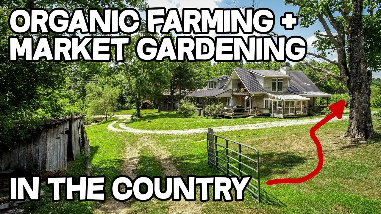 Growing Your Own Food: Mastering Sustainable Farming in Kentucky - YouTube