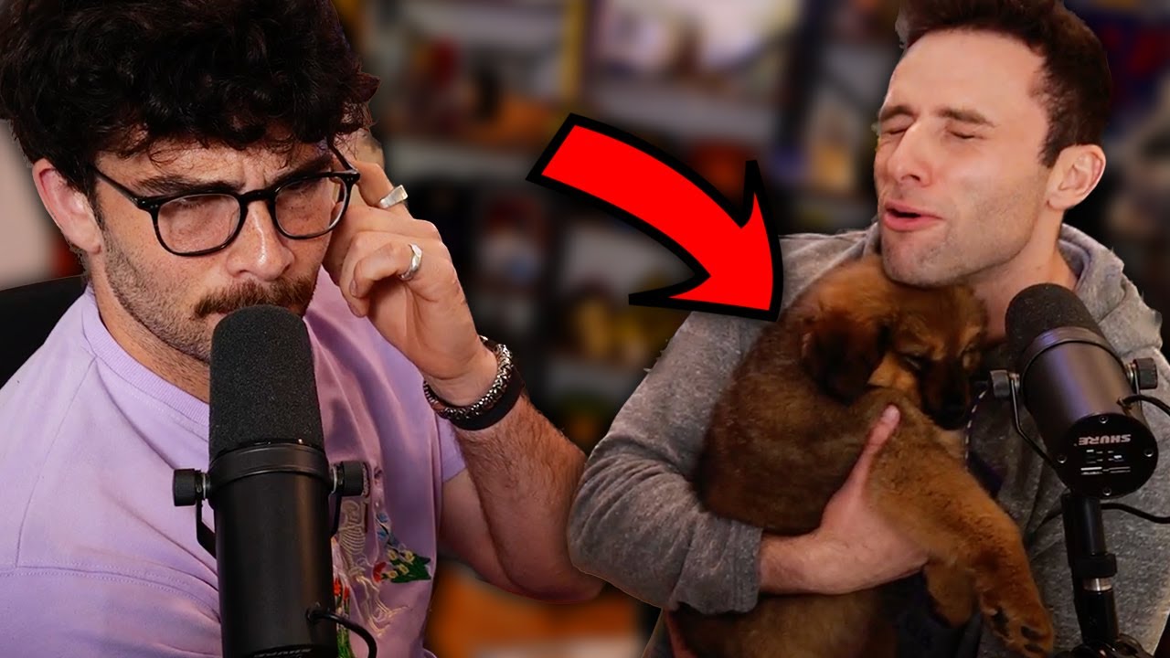 AustinShow Meets Hasanabi's NEW PUPPY Kaya for the FIRST TIME ...