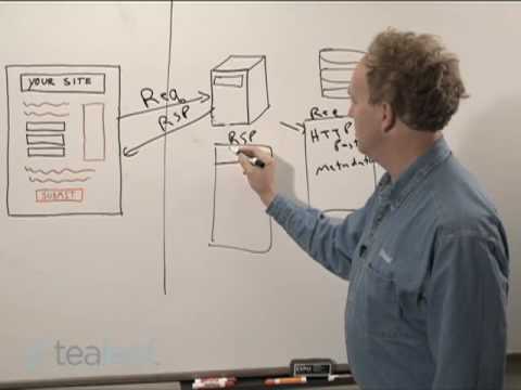 Tealeaf: Capturing the Complete User Experience - YouTube
