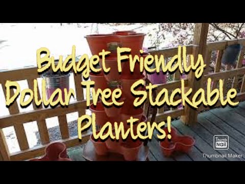 Dollar Tree Stackable Planters! Budget Friendly! #dollartree # ...