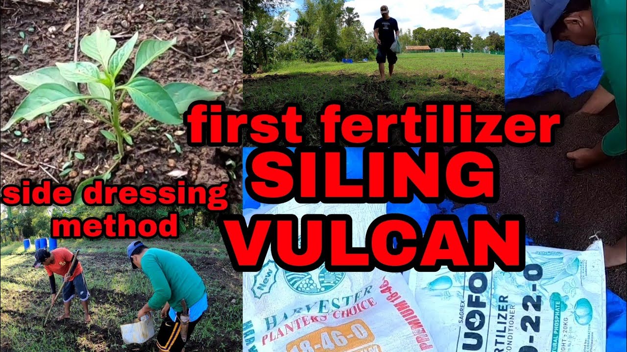 EP99: SIDE DRESSING FERTILIZER / FARMER TO ELECTRICIAN - YouTube