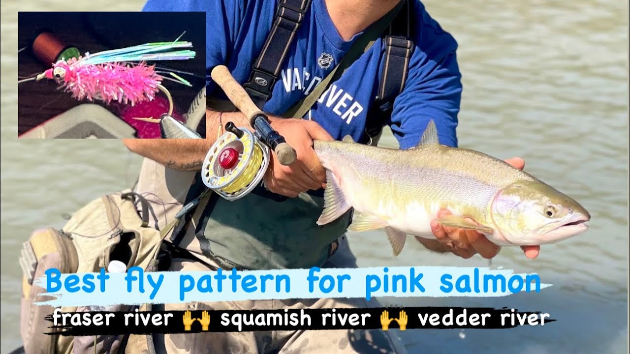 Best fly pattern for pink salmon , fraser river , vedder river - YouTube