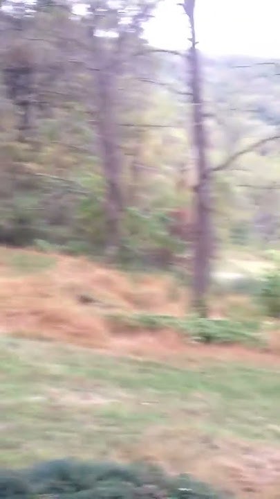 Vining Cabin Fall Night - YouTube