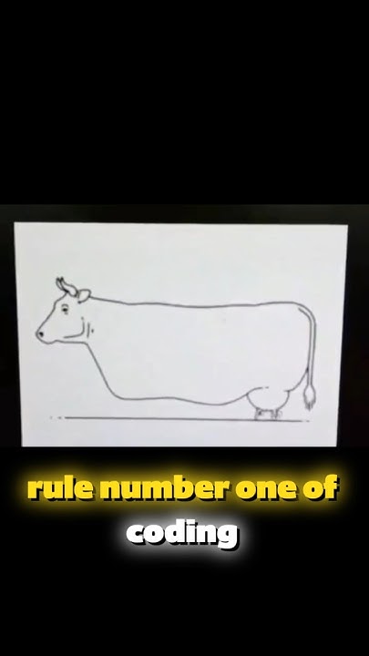 Rule Number One Of Coding 📜 Coder Computerscience Programmer 6411