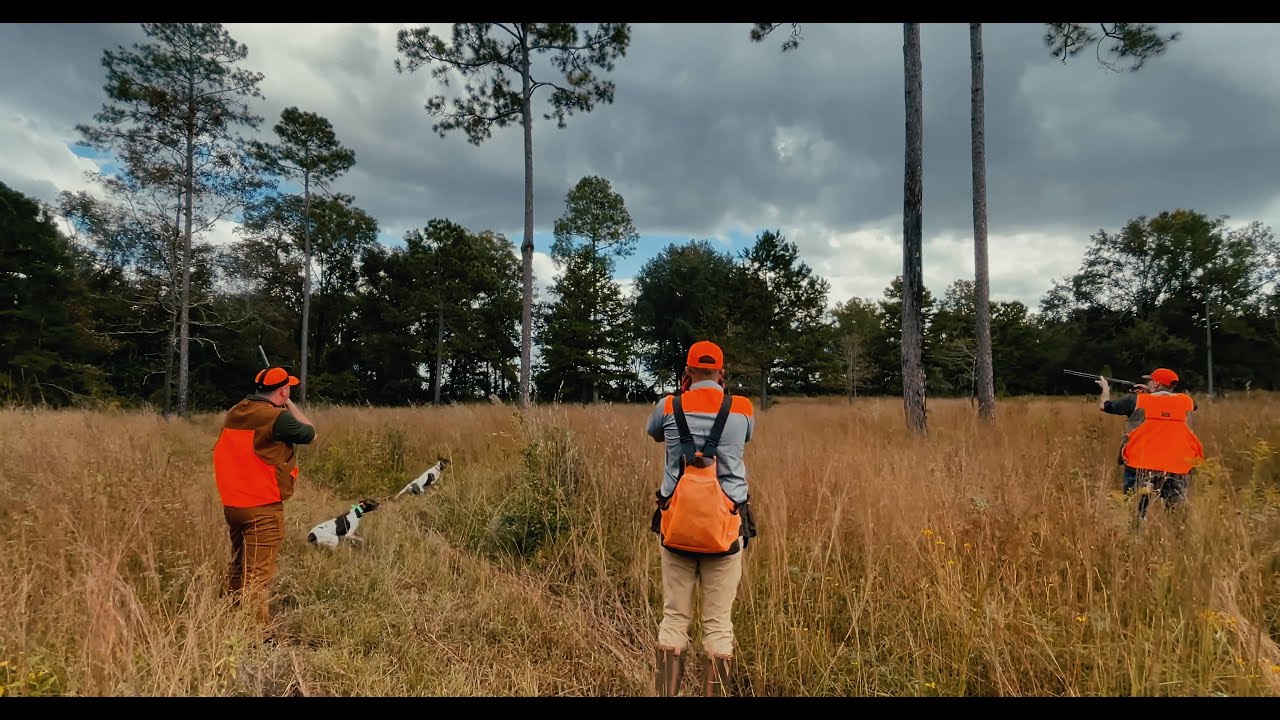 Rio Piedra Quail Hunt 2021 - YouTube