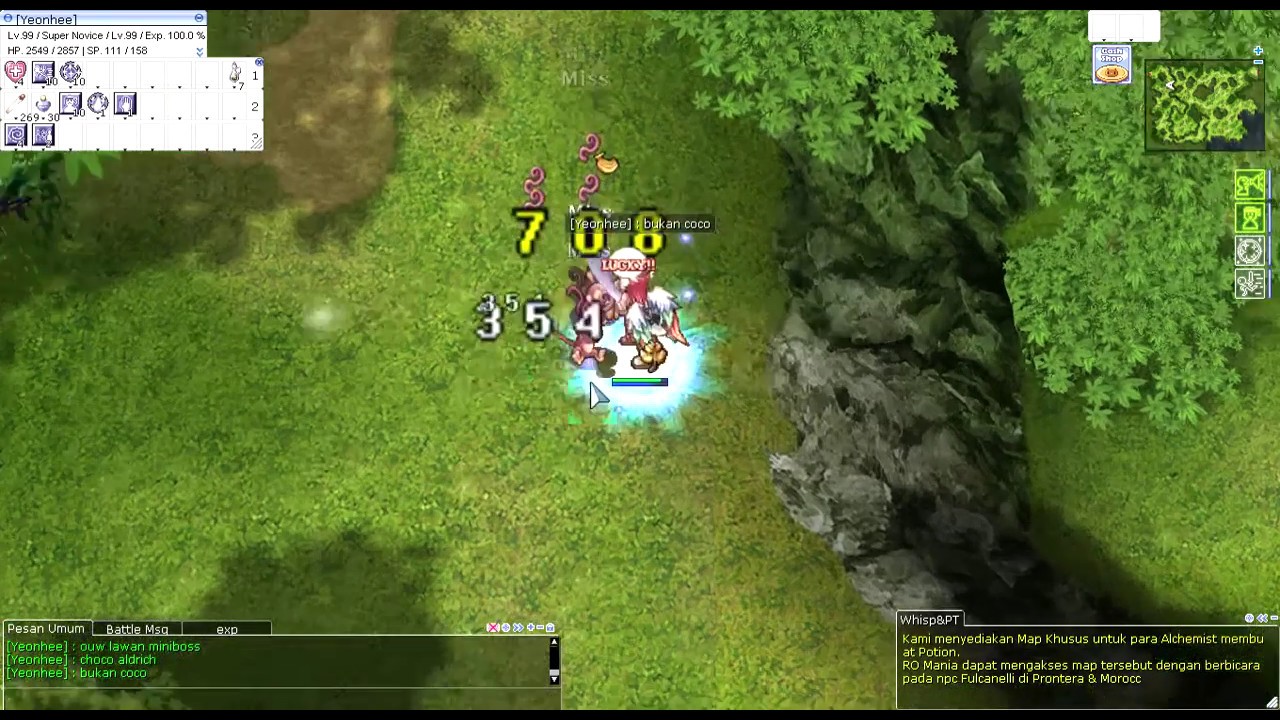 Ragnarok Gravindo - Mini Boss Choco VS Super Novice - YouTube