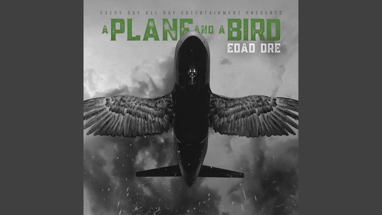 A Plane and a Bird - YouTube