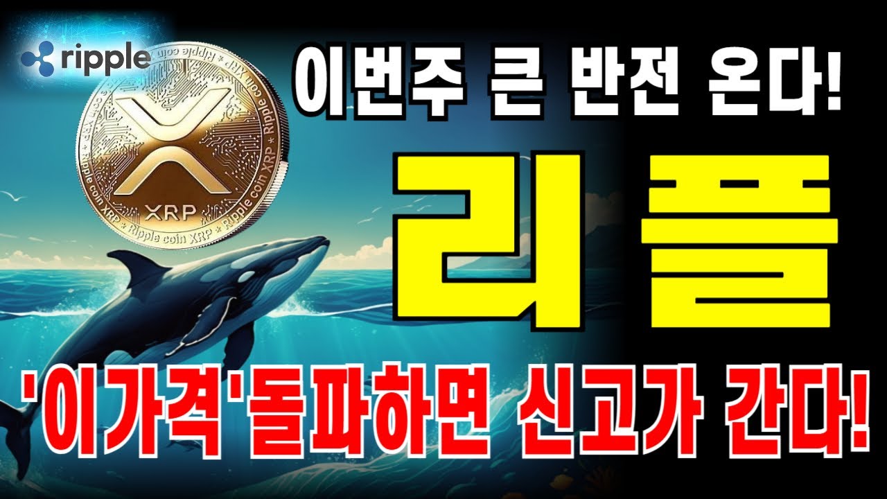 리플 코인 전망이번주 정말 중요합니다 신고가 돌파 준비하세요 리플코인 리플코인전망 Xrp 리플 Youtube