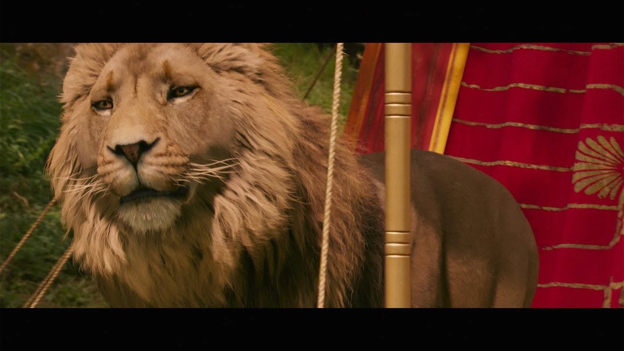 The Chronicles Of Narnia: The Lion & The Witch & The Wardrobe: Aslan (2005) (7) - YouTube
