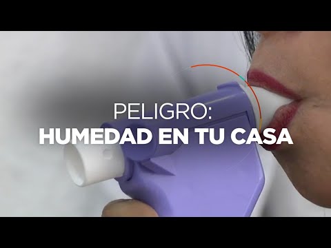 #RECOMENDACIONES La humedad en tu casa es PELIGRO latente para tu salud