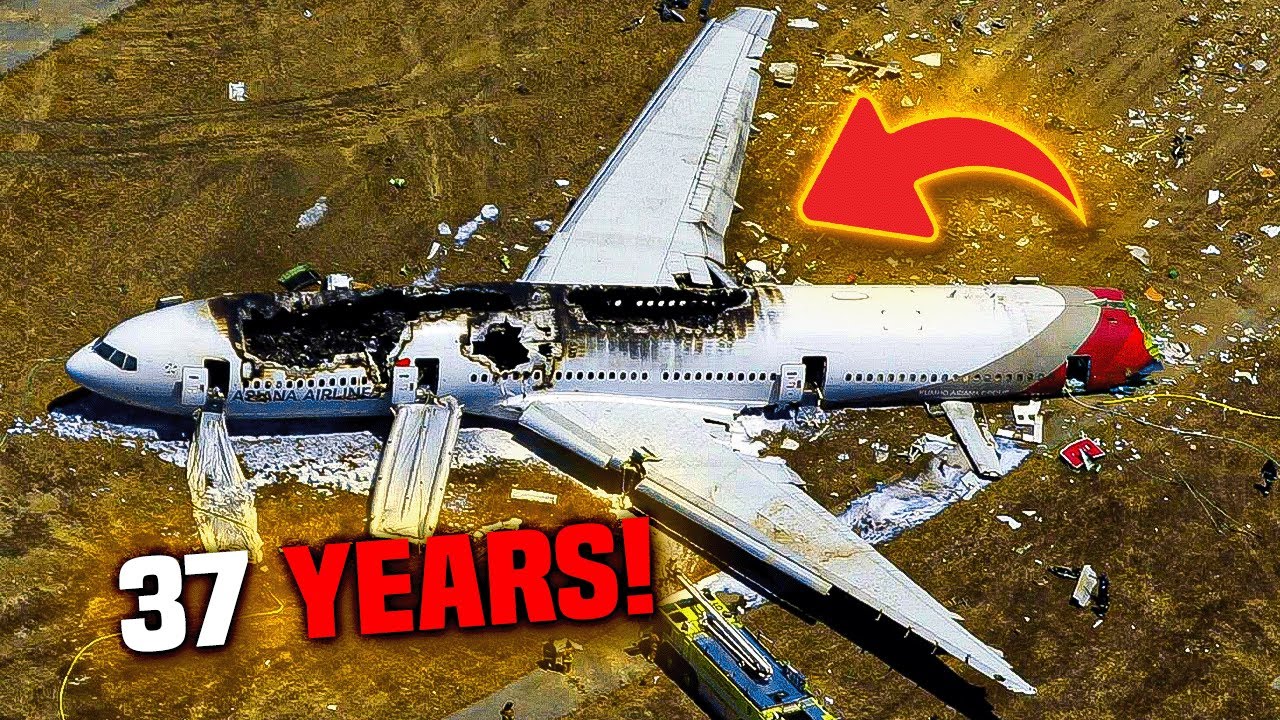 Lost Plane Lands After 37 Years—What Was Found Inside Will Surprise You ...