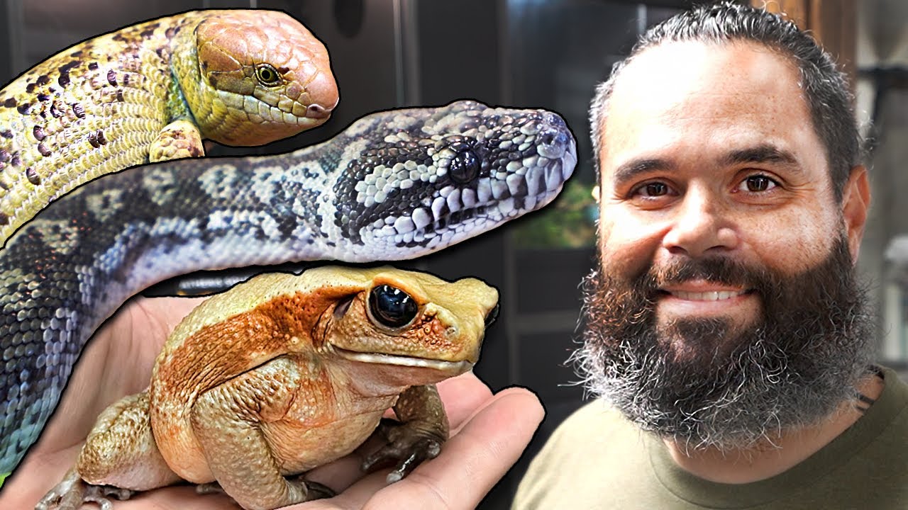 100's of Reptiles! How to Manage a Reptile Store! - YouTube