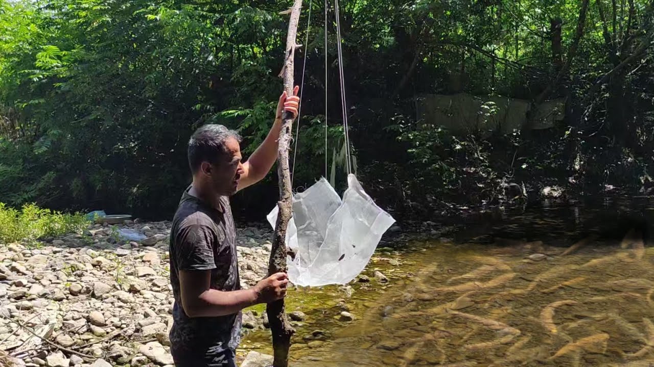 TOP VIDEOS: Fishing Techniques, Unique Fishing Video, Survival Fishing ...