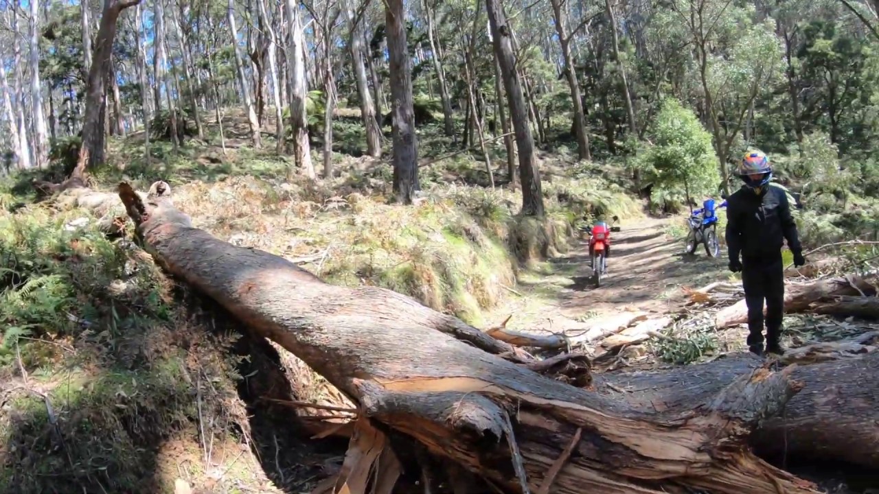 450k Super loop Adventure Ride. - YouTube