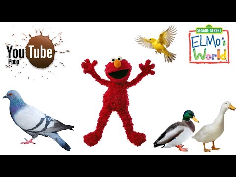 YTP: Elmo’s World: Birds (YouTube Poop Edition)