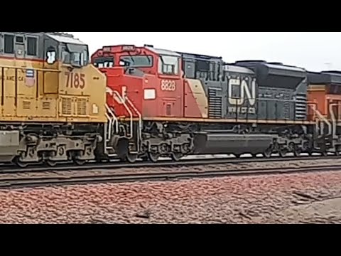 BNSF 6187& CN 8828 & UP 7185 - YouTube