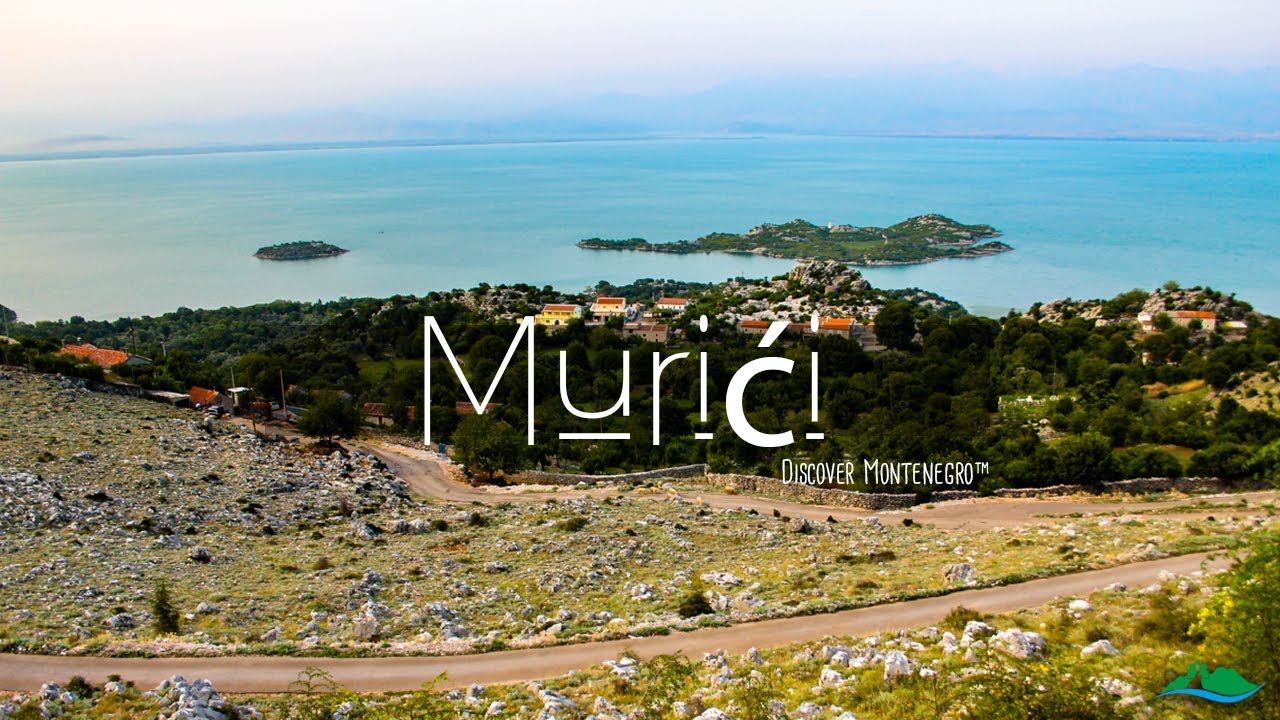 Murici ~ Discover Montenegro in colour ™ 🦆💦🌿🍃🌱🐸🦎🚣‍♀️🌳 🎣 #skadar - YouTube