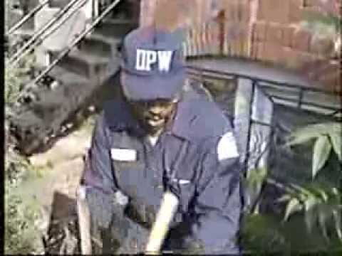 Battling the Rat Population in Washington, DC - YouTube