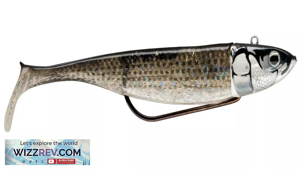 Storm 360GT Coastal Biscay Shad Weedless Lures Bass Cod Pollock Fishing ...