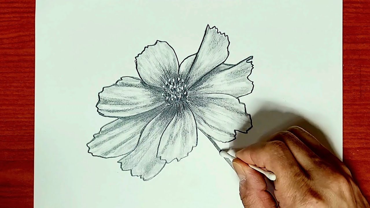 Cosmos Drawing Simple - YouTube