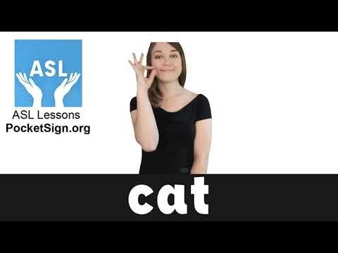 Cat - ASL Sign Language - YouTube