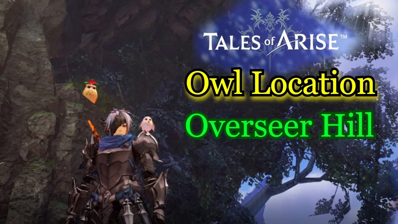 Overseer Hill Owl Location! [Tales of Arise] - YouTube