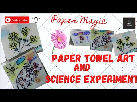 Paper Towel Magic Trick Easy DIY Science Experiments for kids - YouTube