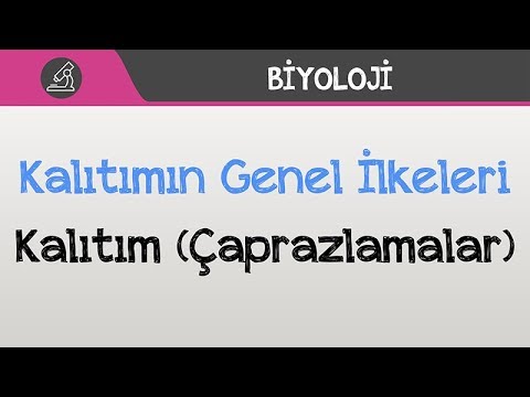 Kalıtımın Genel İlkeleri - Kalıtım (Çaprazlamalar)