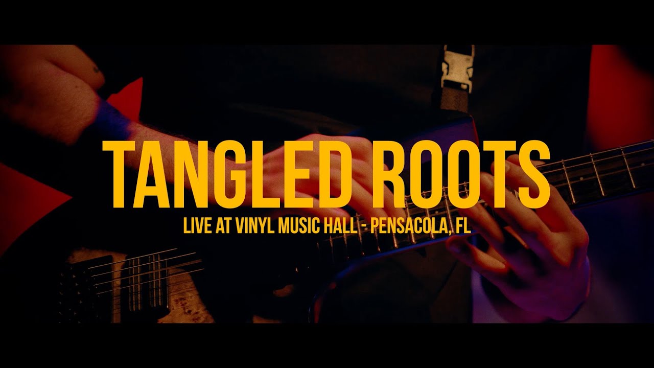 AFTERDUSK - Tangled Roots (Live Music Video) - YouTube