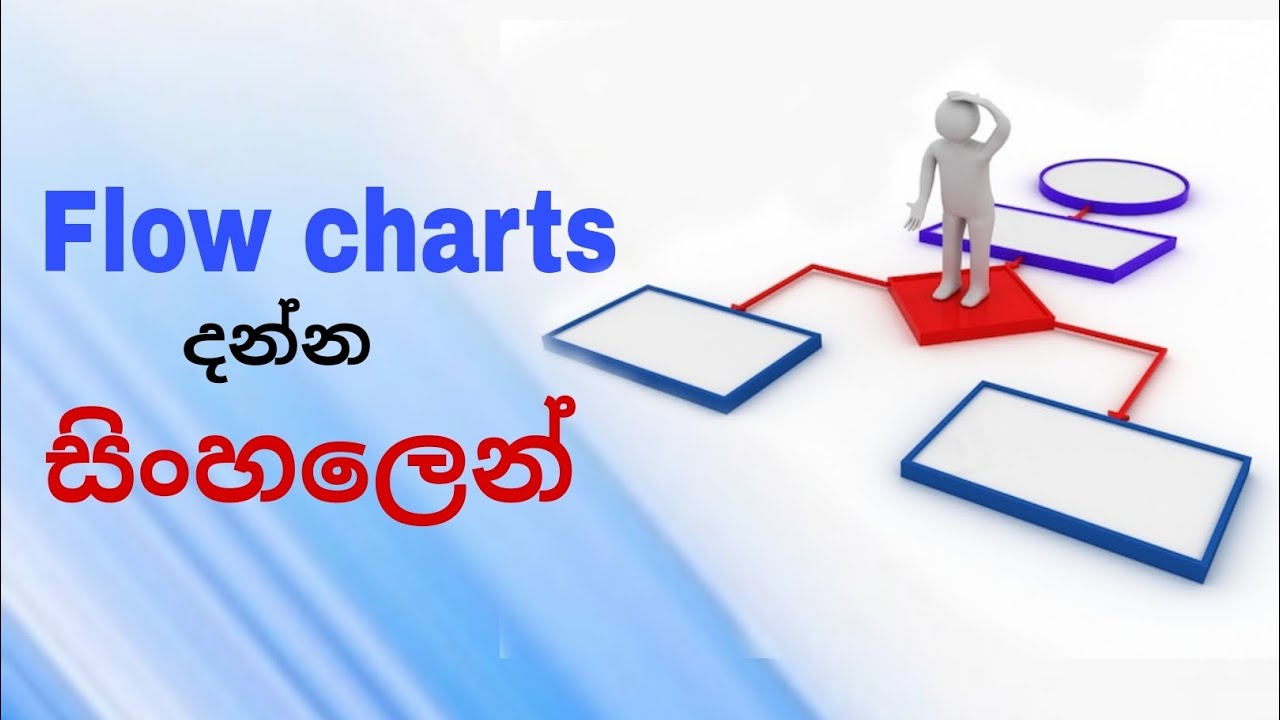 Flow charts සම්පුර්ණ පාඩම විනාඩි 6 න් || sinhala || Tech hub - YouTube